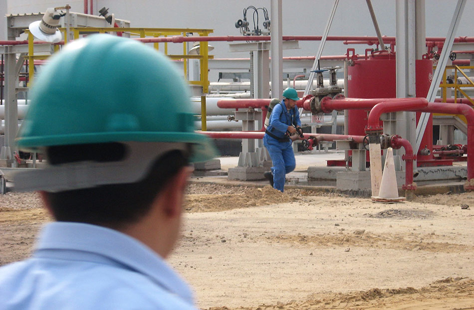 Home Page - PetroSafe